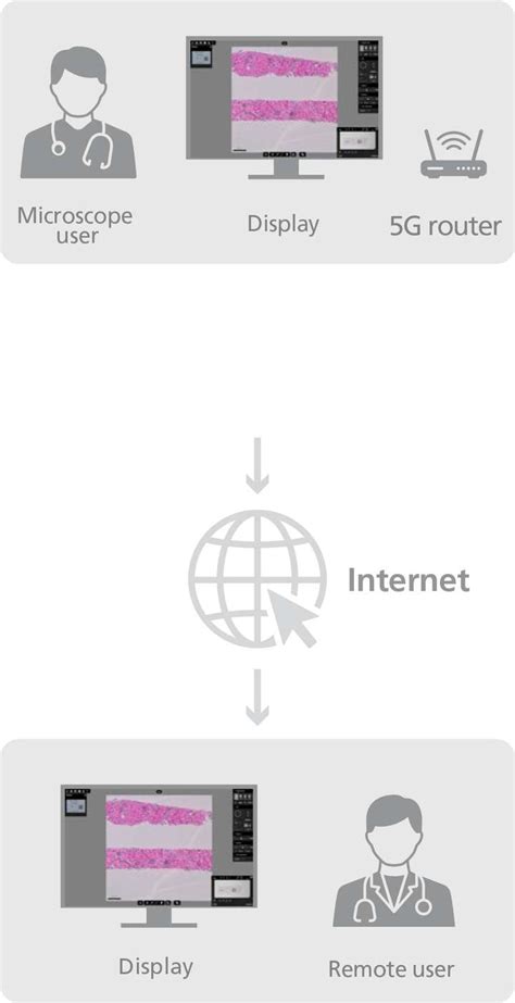 Eclipse Ui Digital Microscopes Microscope Products Nikon