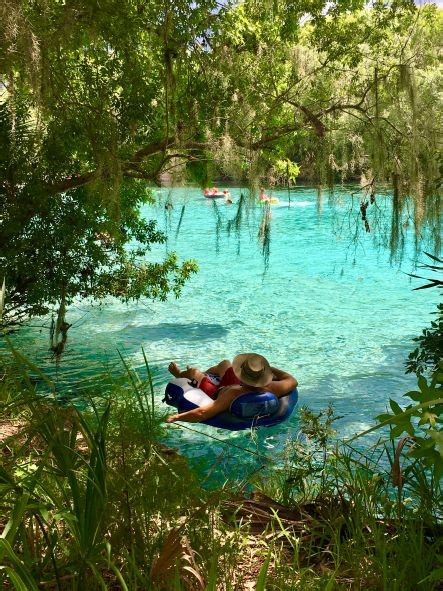 Silver Glen Springs Recreation Area Ocala Marion County Florida
