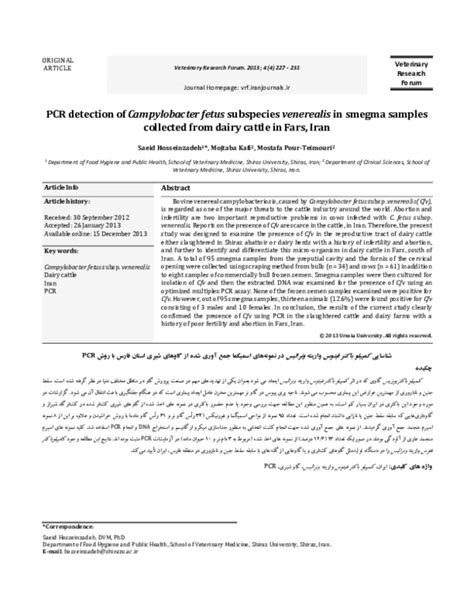 Pdf Pcr Detection Of Campylobacter Fetus Subspecies Venerealis In Smegma Samples Collected
