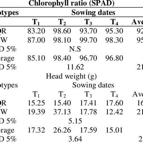 The Effect Of Sowing Dates For Different Varieties On The Chlorophyll