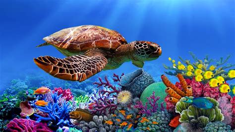 Расслабляющая музыка с океанскими волнами красивое фортепиано музыка для сна снятие стресса