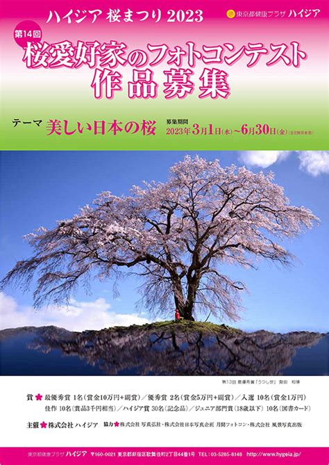 第 回 桜愛好家のフォトコンテスト 作品募集 風景写真出版からのおしらせ