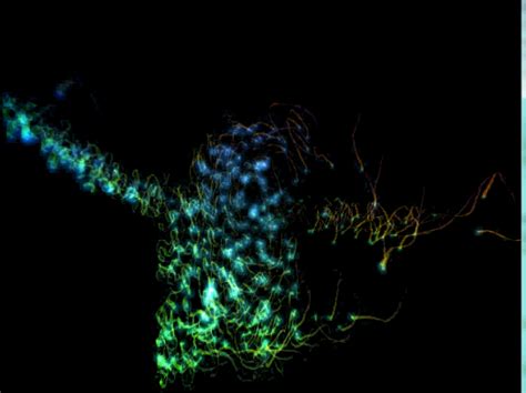 Muse Flocking Xbox Kinect Hack
