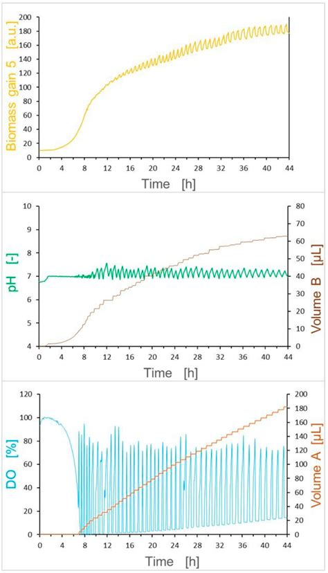 E Coli Fed Batch Cultivation Using The Biolector® Pro