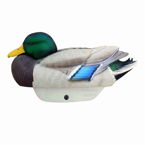 Lifetime Decoys Flexfloat Mallard Duck Decoys | Sportsman's Warehouse