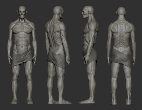 Artstation Human Modeling