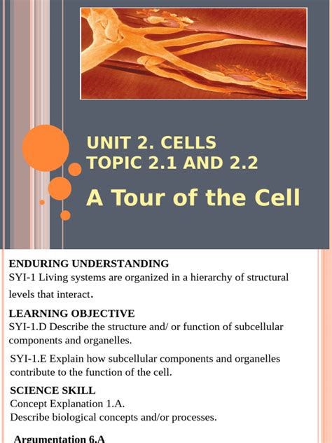 topic 2 1 2 2 cell structure and functions pdf cell biology