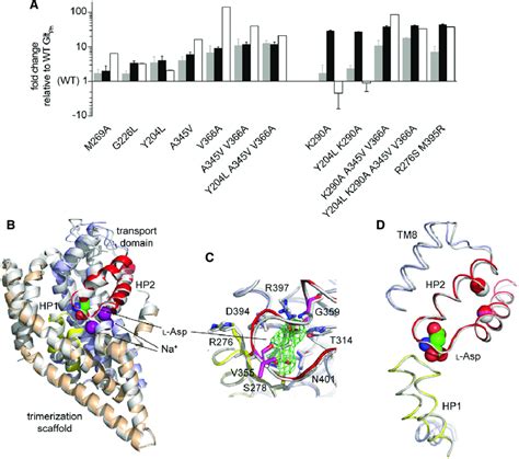 Correlations Between Activity Dynamics And Substrate Affinity A Download Scientific Diagram