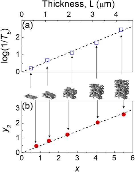 A Plot Of Log1t B Vs L Where The Inverse Slope Is Lzz B Plot