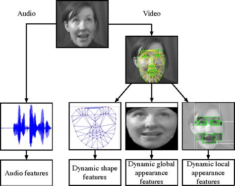 Figure 2 From Robust Continuous Prediction Of Human Emotions Using Multiscale Dynamic Cues
