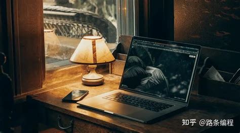 碎片时间学编程「231 ：基于函数的最大数组值 知乎