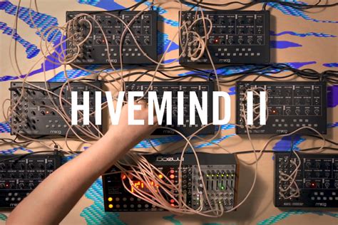 Mavis Goes Electro New Video Showcases Sonic Range Of Moogs Eurorack Friendly Monosynth Now