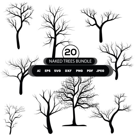 Naked Trees Svg Naked Trees Bundle Tree Svg Naked Trees Etsy