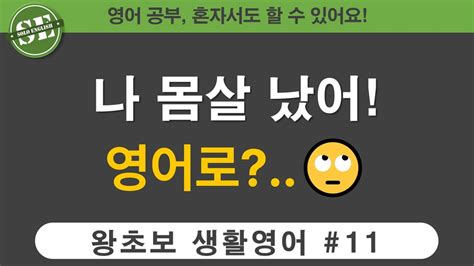 영어회화 왕초보 생활영어 11ㅣ실생활에서 유용한 기초영어 10문장 반복 학습으로 확실하게 익히기 Youtube