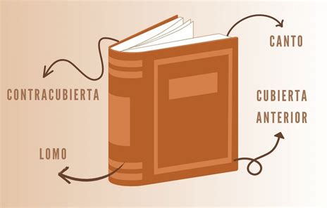 Partes Internas Del Libro 4401011 Partes Externas Del Libro Evelyn