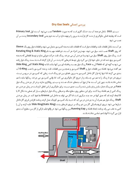 Dgs Process Pdf