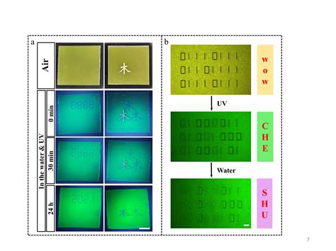 我院巫金波教授团队在《chemical Engineering Journal》上发表信息加密最新研究成果 上海大学材料基因组工程研究院