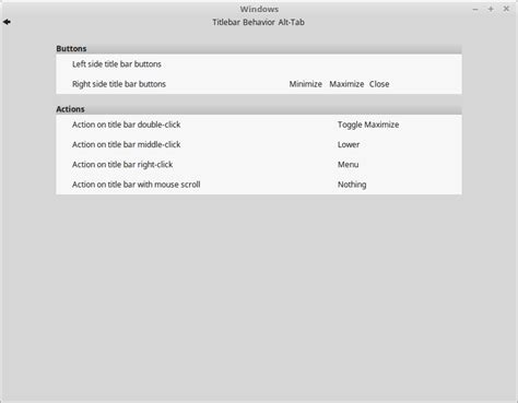 Windows Not Showing Correctly R Linuxmint