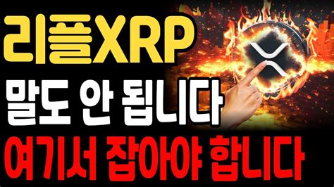 리플 전망 말도 안 됩니다 여기서 잡아야 합니다리플리플분석 리플호재 겐슬러해임 리플트럼프업비트시황 코인시황 급등코인추천 리플대응 Youtube