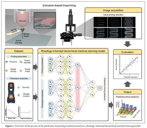 Machinelearning Bioprinting Openaccess International Journal Of Bioprinting