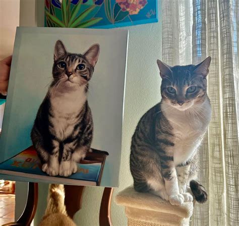 заказчик недоволен котэ прикольные картинки с кошками смешные картинки и другие приколы