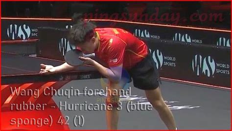 Wang Chuqin Equipment Updated Pingsunday