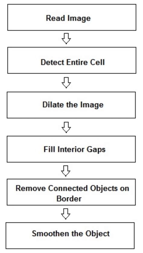 Edge Based Segmentation Download Scientific Diagram