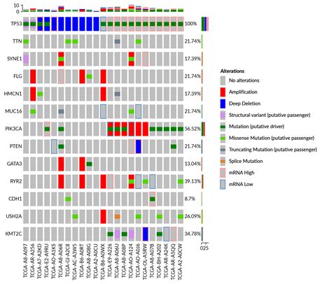 Breast Cancer Mutation With Oncoprinter — Marsilea 0 5 2 Documentation