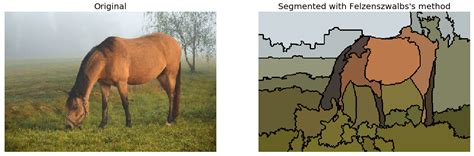 Felzenszwalb Slic Quickshift And Compact Watershed Algorithms