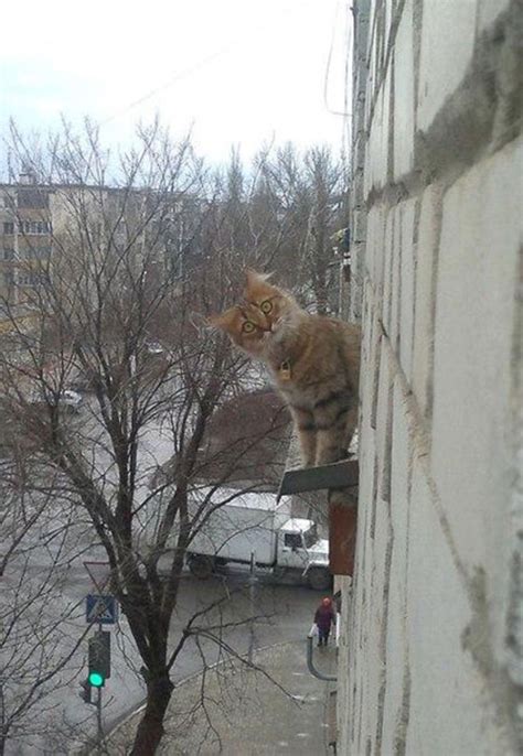 Php Помогите распарсить Json на Json Stack Overflow на русском