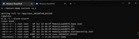 Getting Memory Dump Of Net Applications Windowsandlinux Containers On Kubernetes Gökhan Gökalp