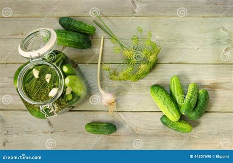Fermenting Cucumbers Cooking Recipe Salted Or Marinated Pickles With Garlic And Dill With