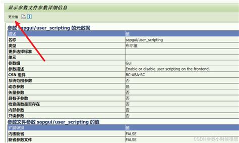 Sap脚本录制与回放功能简介 Csdn博客