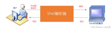 Linux Shell编程入门到实战一 Csdn博客