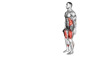 Dumbbell Plank Pass Through Ultimate Exercise Guide And Tips Dumbbell Plank Pass Through Ultimate Exercise Guide And Tips