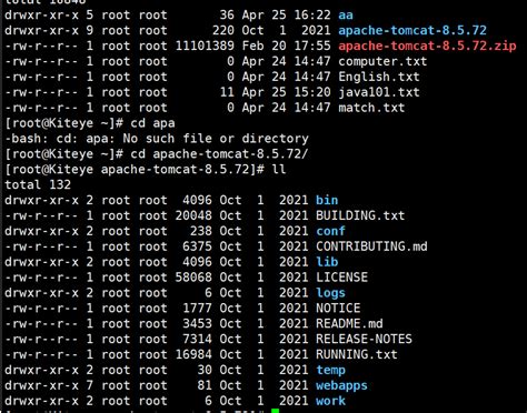 Linux常用命令 Web程序部署linux部署web项目常用命令 Csdn博客