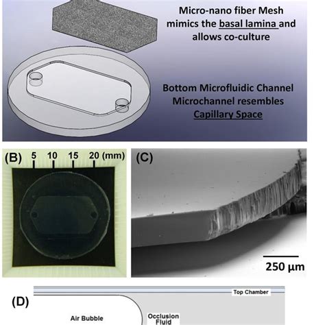 A Schematic Representation Of The Micro Nano Biomimetic System Used Download Scientific