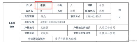 vue 自定义仿word表单输入框组件，让操作更符合用户习惯 vue输入框实现office功能 csdn博客
