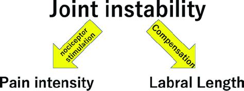 Relationship Between Labrum And Pain Caused By Hip Instability Relationship Between Labrum And Pain Caused By Hip Instability