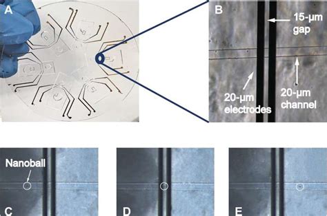 New Method Combines Dna Nanoballs And Electronics To Enable Simple