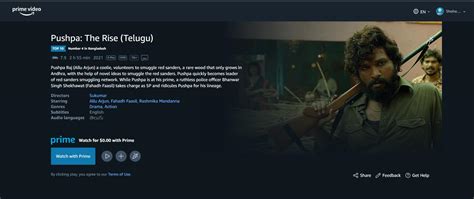 How Can I One Side Black In Website Header Through Html And Css Stack