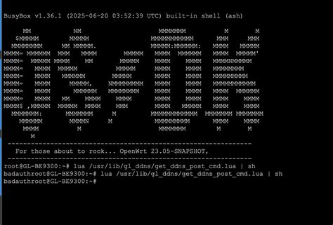 DDNS Not Working Properly VPN DNS Leaks GL INet