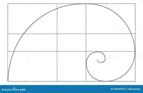 Golden Ratio Sign Logarithmic Spiral In Rectangle Fibonacci Sequence Nautilus Shell Shape