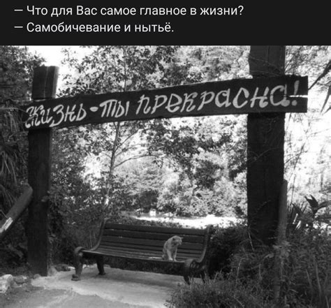 Добрый день Пикабу