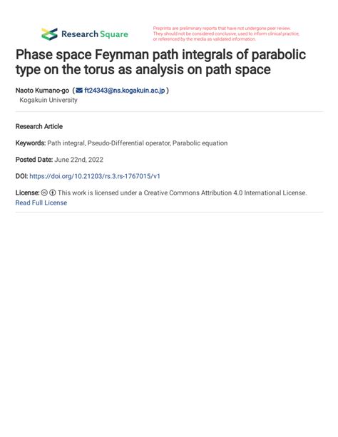 Pdf Phase Space Feynman Path Integrals Of Parabolic Type On The Torus As Analysis On Path Space