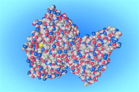 Cholera Toxin Molecule Stock Illustration Illustration Of Biotech
