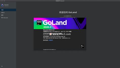 Jetbrains Goland 2020 For Macgo语言编程工具 哔哩哔哩
