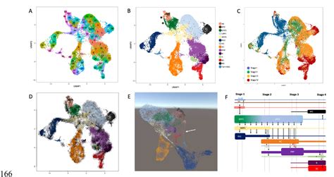 PDF Evidence From Combined Analysis Of Single Cell RNA Seq And ATAC Seq Data Of Regulatory