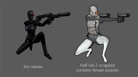 Akimbodual Pistol Assassins Mod For Half Life Hl Mods
