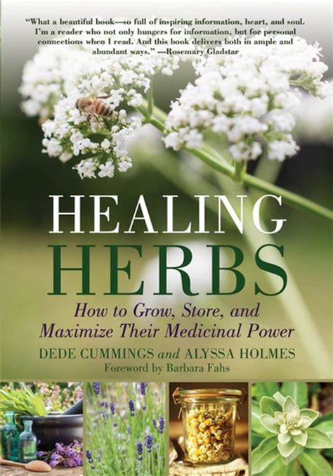 Healing Herbs | Healing herbs, Herbal medicine, Herbalism